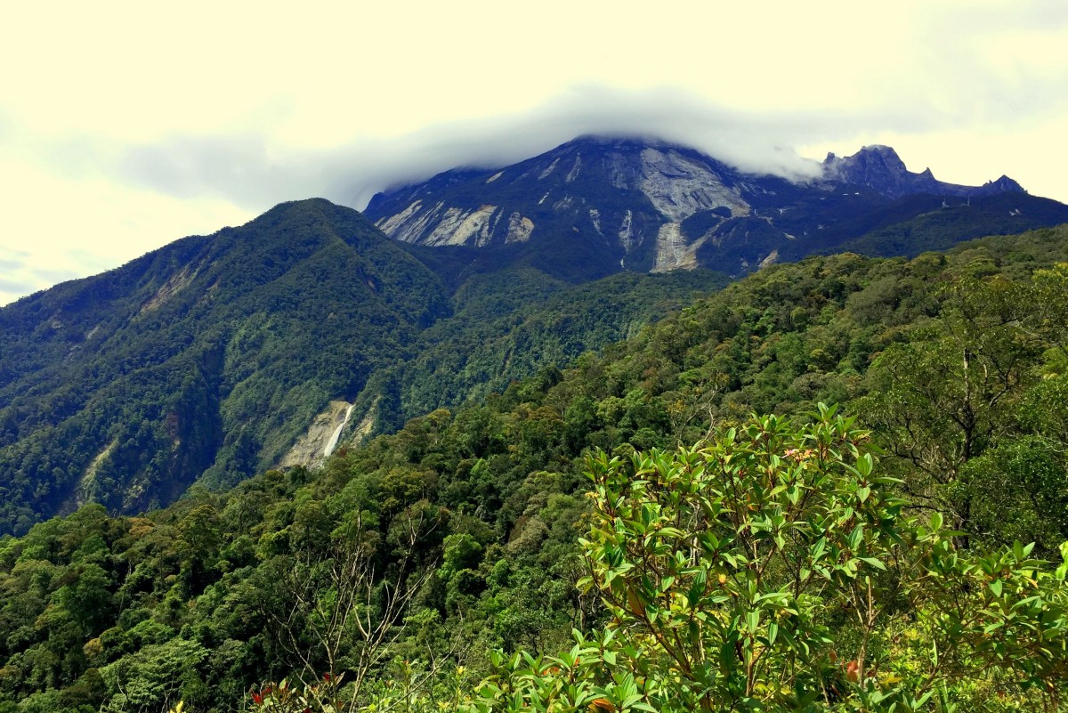 Mt. Kinabalu and the world’s largest flower – Bona Travels